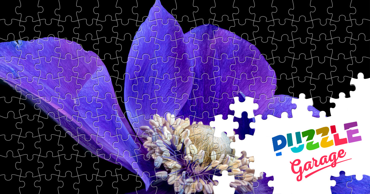 Purple flower Jigsaw Puzzle (Plants, Flowers) | Puzzle Garage