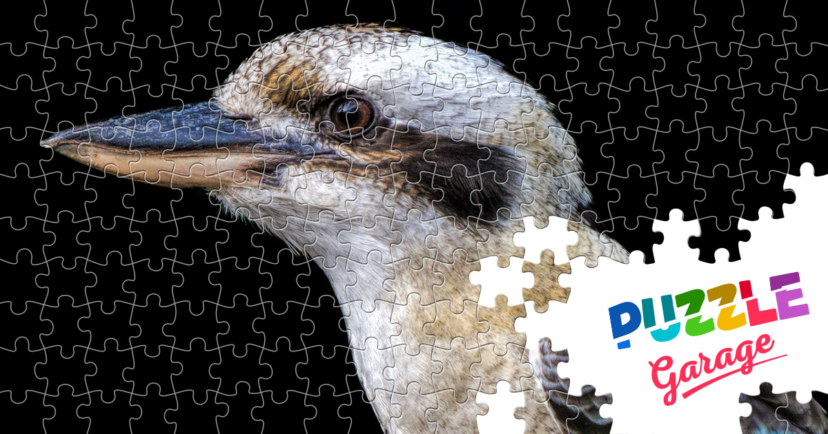 Laughing kookaburra Jigsaw Puzzle (Animals, Birds) | Puzzle Garage