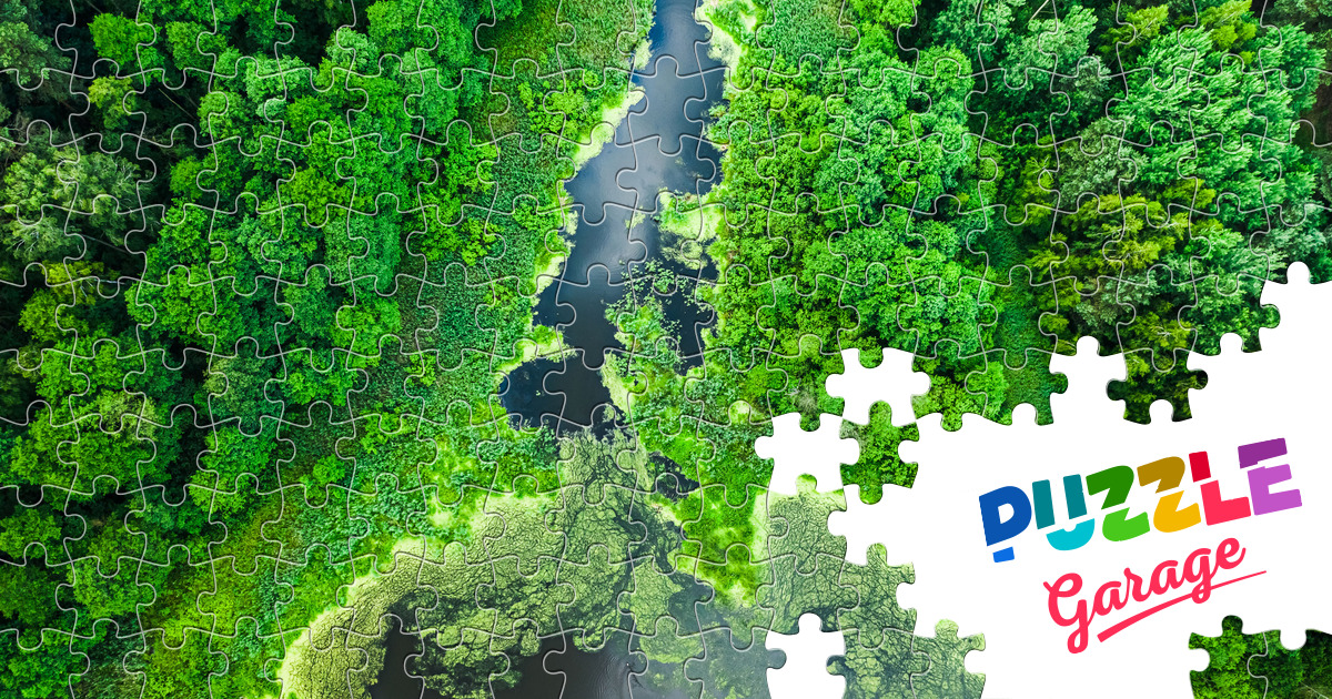 Top view of the green lake Jigsaw Puzzle (Other, Aerial view) | Puzzle ...