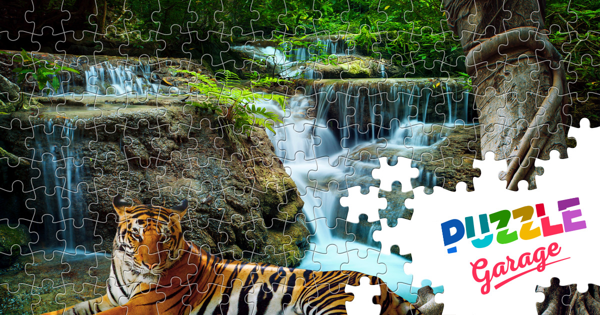Indochinese tiger Jigsaw Puzzle (Animals, Mammals) | Puzzle Garage