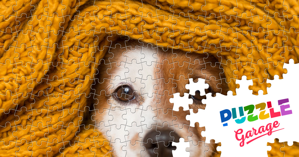Puppy under a yellow blanket Jigsaw Puzzle (Animals, Pets) | Puzzle Garage