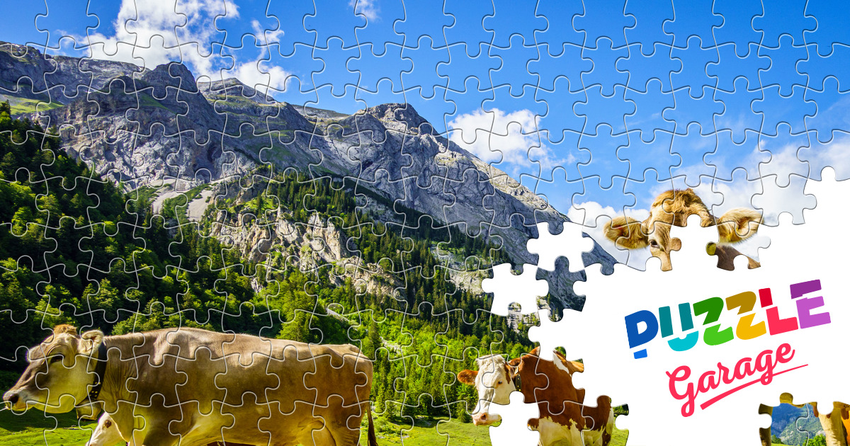 Cows in alpine meadows Jigsaw Puzzle (Animals, Pets) | Puzzle Garage