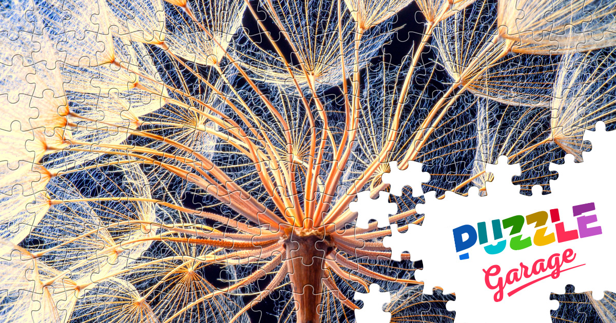 Macro photo of a ripe dandelion Jigsaw Puzzle (Other, Macro) | Puzzle ...