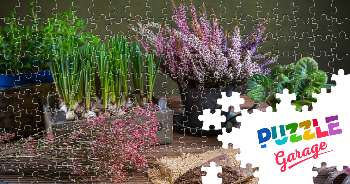Flowers and plants in pots Jigsaw Puzzle (Plants, Flowers) | Puzzle Garage