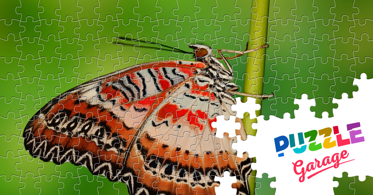 Butterfly on a stem Jigsaw Puzzle (Animals, Insects) | Puzzle Garage