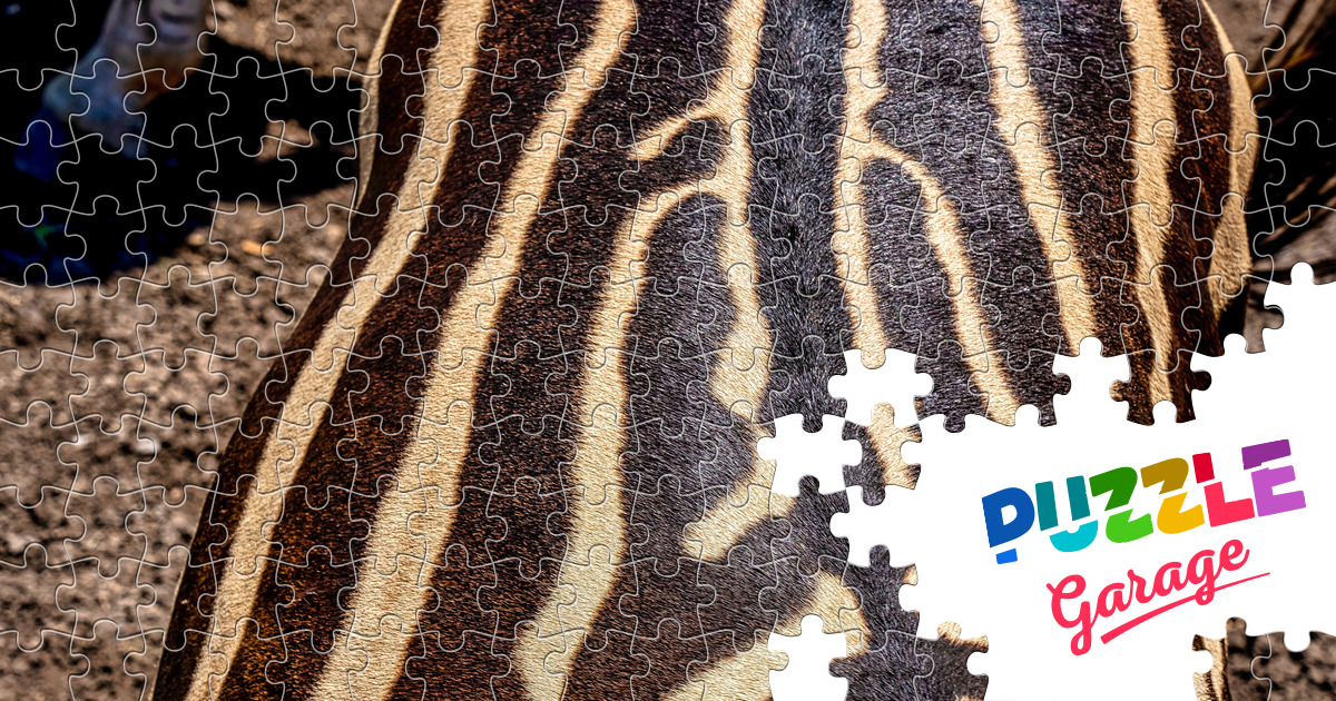 Zebra's back Jigsaw Puzzle (Animals, Mammals) | Puzzle Garage
