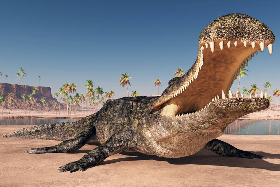 Prehistoric animals - collection of online Jigsaw Puzzles | Puzzle Garage