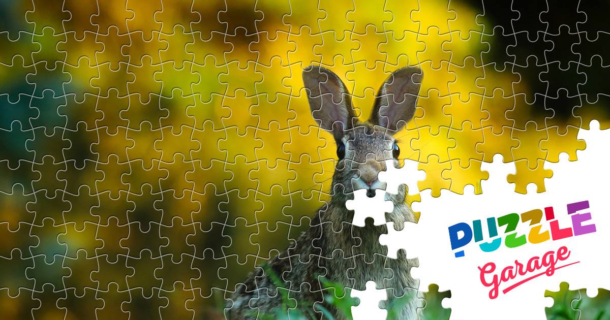 Rabbit Jigsaw Puzzle (Animals, Mammals) | Puzzle Garage