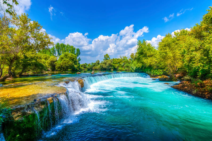 Tree at waterfall Jigsaw Puzzle (Plants, Trees) | Puzzle Garage