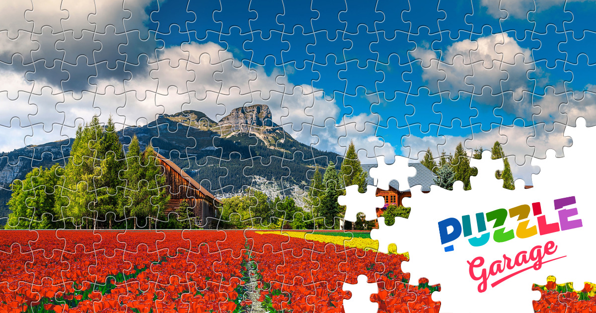 Tulip plantation in Austria Jigsaw Puzzle (Countries, Austria) | Puzzle ...
