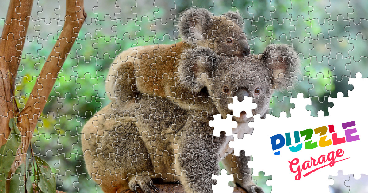 Koala with cub Jigsaw Puzzle (Animals, Mammals) | Puzzle Garage
