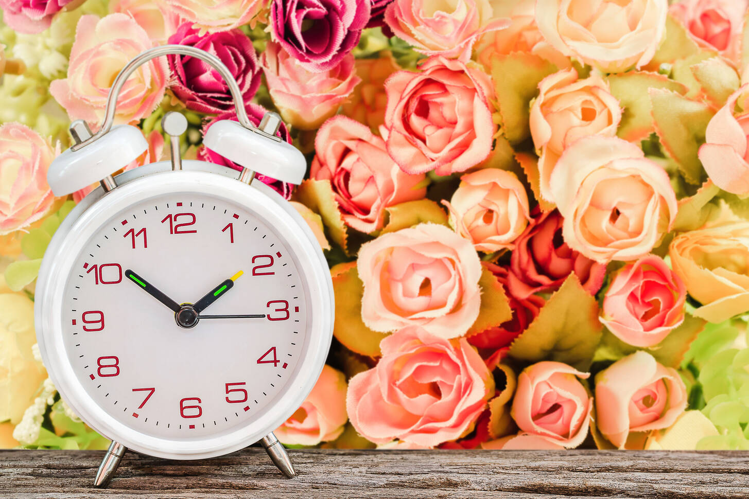 Alarm clock and roses Jigsaw Puzzle (Stuff, Watches) | Puzzle Garage