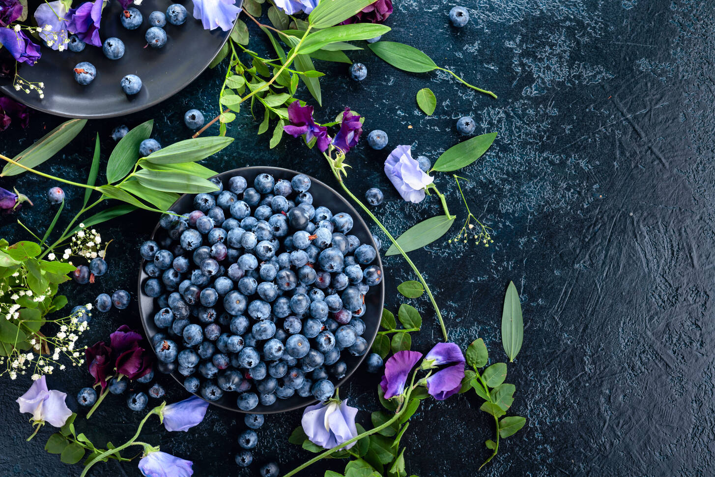 Blueberries on a plate Jigsaw Puzzle (Plants, Berries) | Puzzle Garage