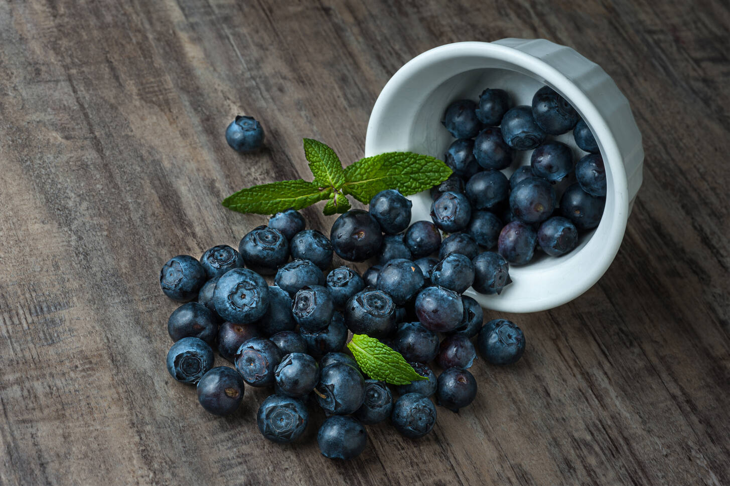Blueberries in a white bowl Jigsaw Puzzle (Plants, Berries) | Puzzle Garage