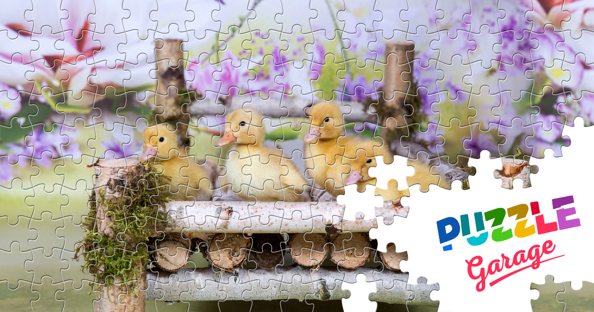 Ducklings Jigsaw Puzzle (Animals, Birds) | Puzzle Garage