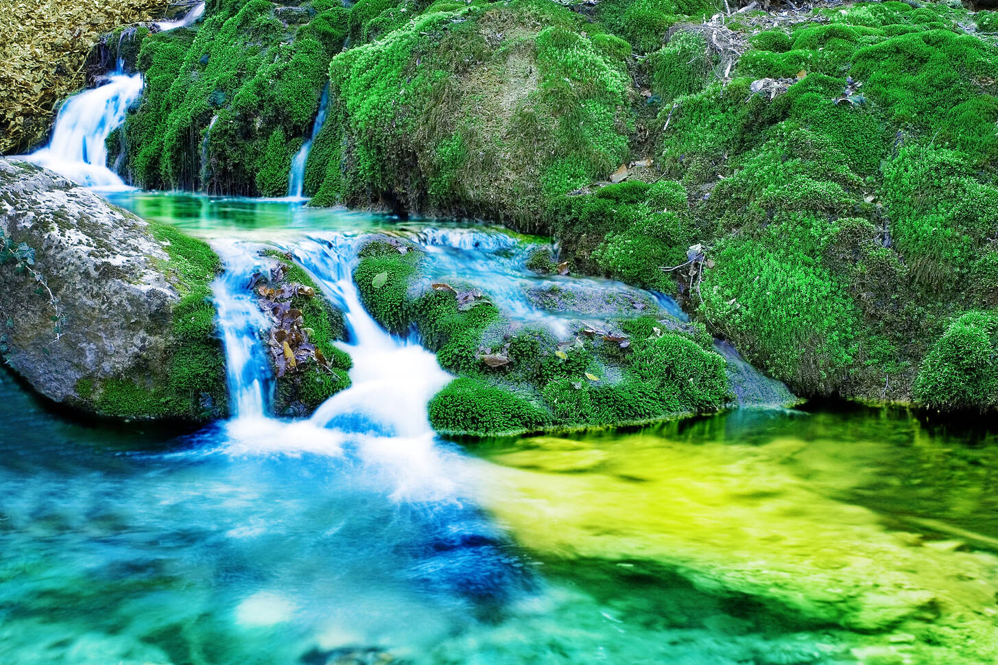 Forest stream Jigsaw Puzzle (Nature, Forest) | Puzzle Garage