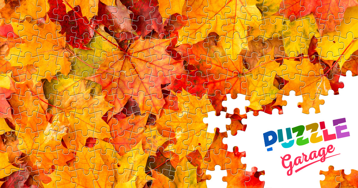 Autumn maple leaves Jigsaw Puzzle (Plants, Trees) | Puzzle Garage