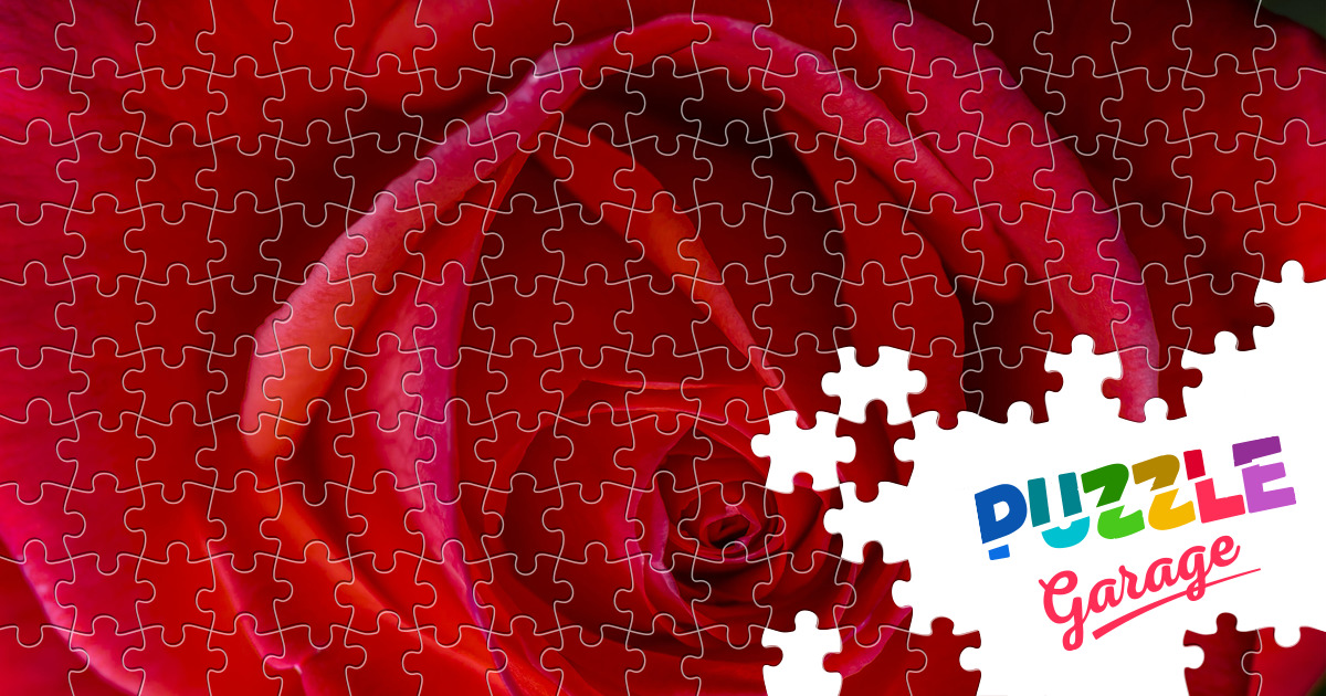 Red rose Jigsaw Puzzle (Plants, Flowers) | Puzzle Garage