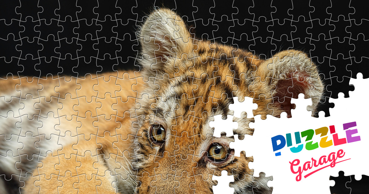 Tiger cub Jigsaw Puzzle (Animals, Mammals) | Puzzle Garage