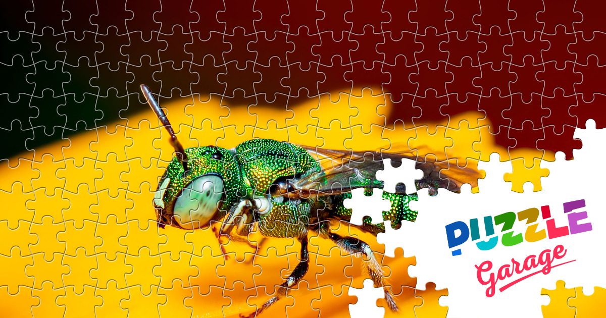 Bee on a yellow flower Jigsaw Puzzle (Animals, Insects) | Puzzle Garage
