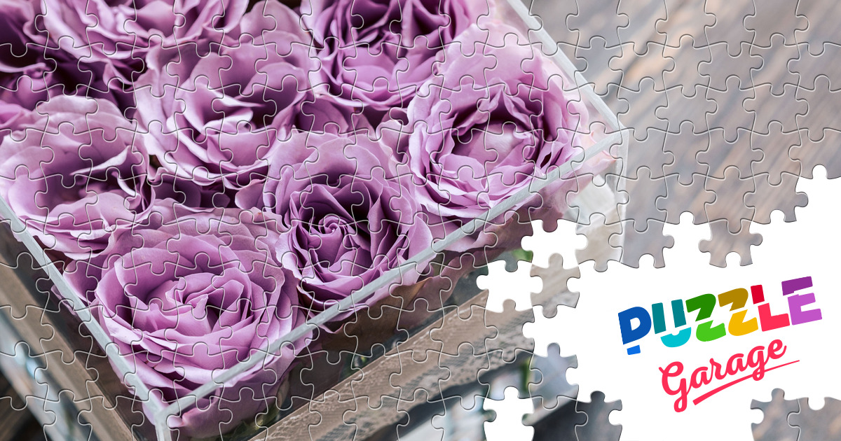 Purple roses Jigsaw Puzzle (Plants, Flowers) | Puzzle Garage