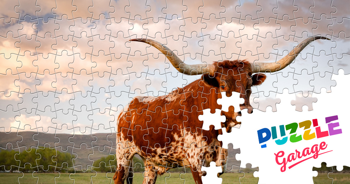 Texas Longhorn Jigsaw Puzzle (Animals, Mammals) | Puzzle Garage