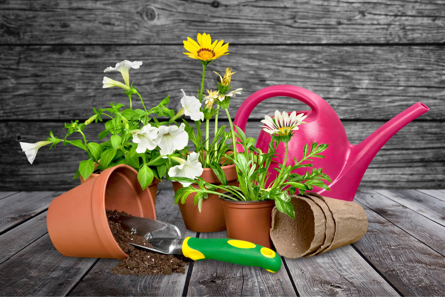Flowers in pots Jigsaw Puzzle (Plants, Flowers) | Puzzle Garage