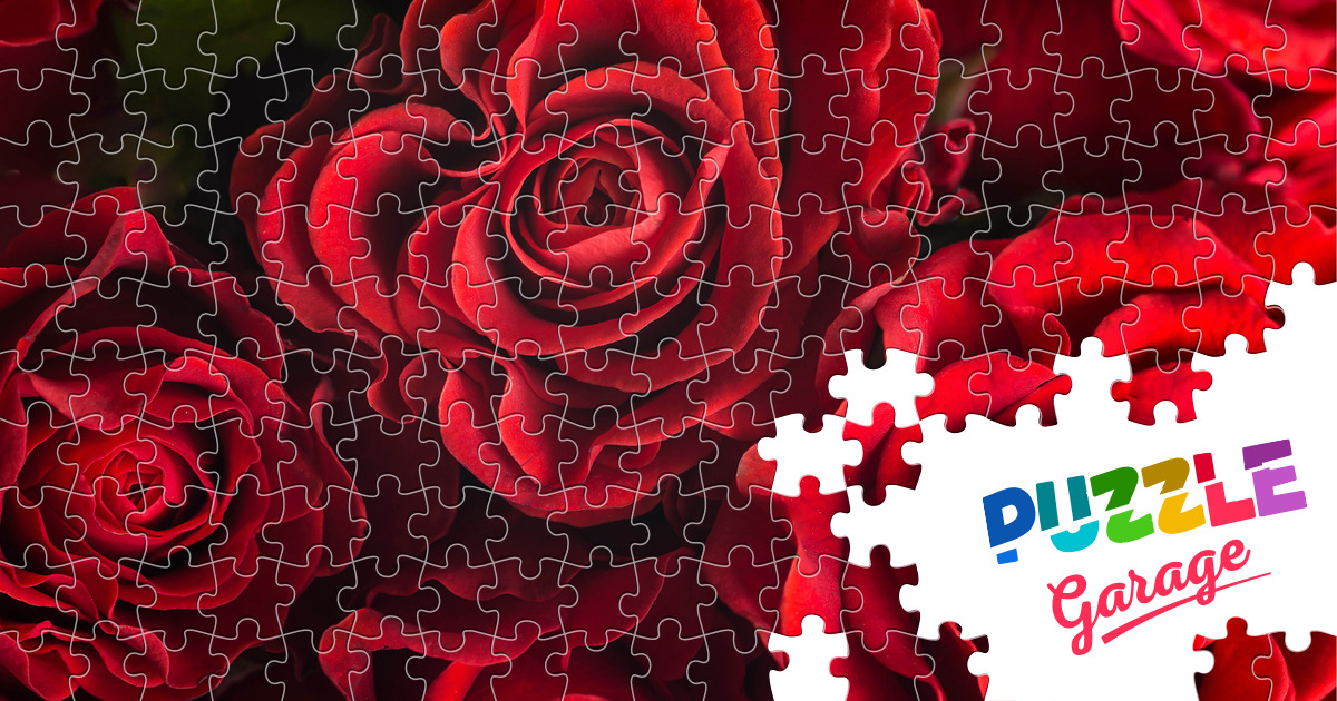 Red roses Jigsaw Puzzle (Plants, Flowers) | Puzzle Garage