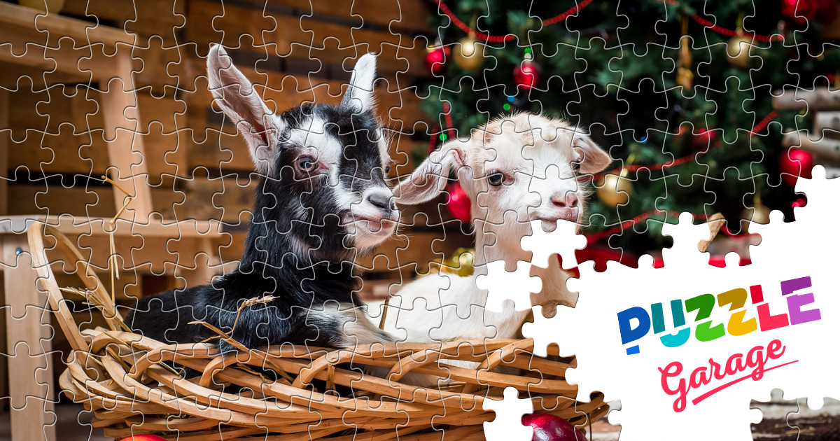 Baby goats against the background of a Christmas tree Jigsaw Puzzle ...