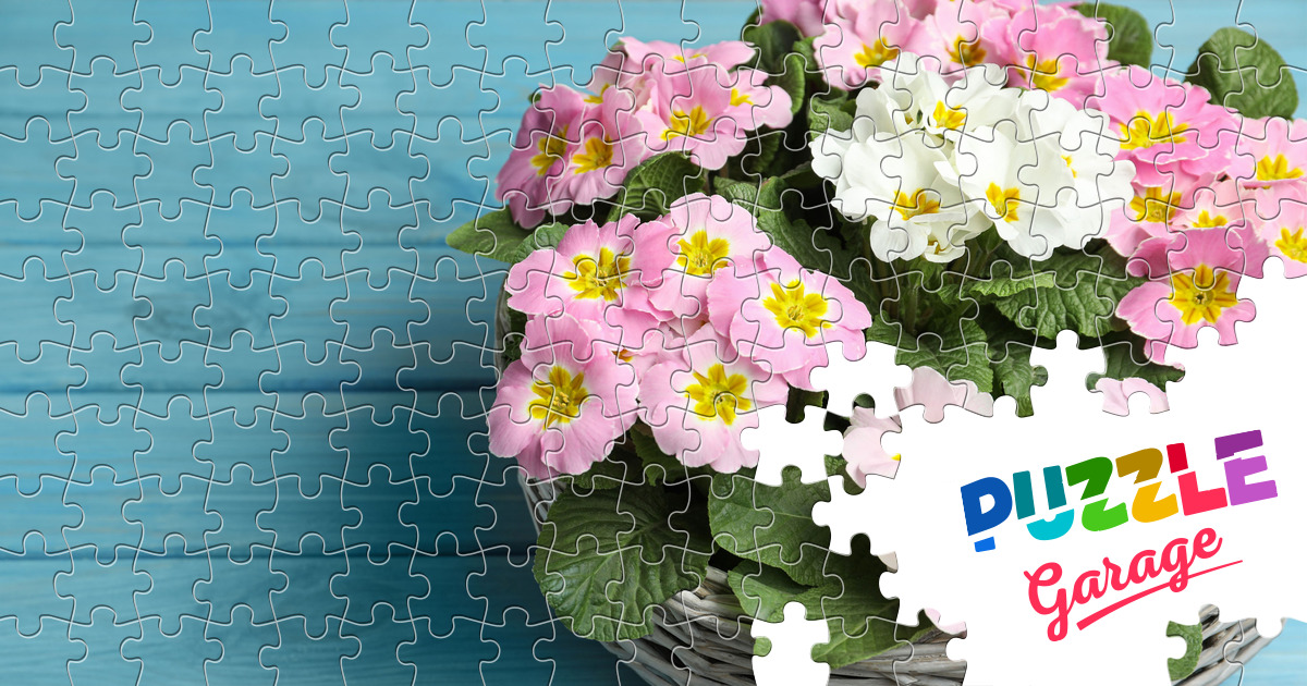 Primrose in a wicker basket Jigsaw Puzzle (Plants, Flowers) | Puzzle Garage