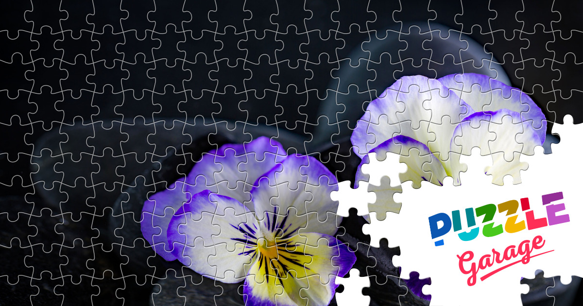Violets on rocks Jigsaw Puzzle (Plants, Flowers) | Puzzle Garage