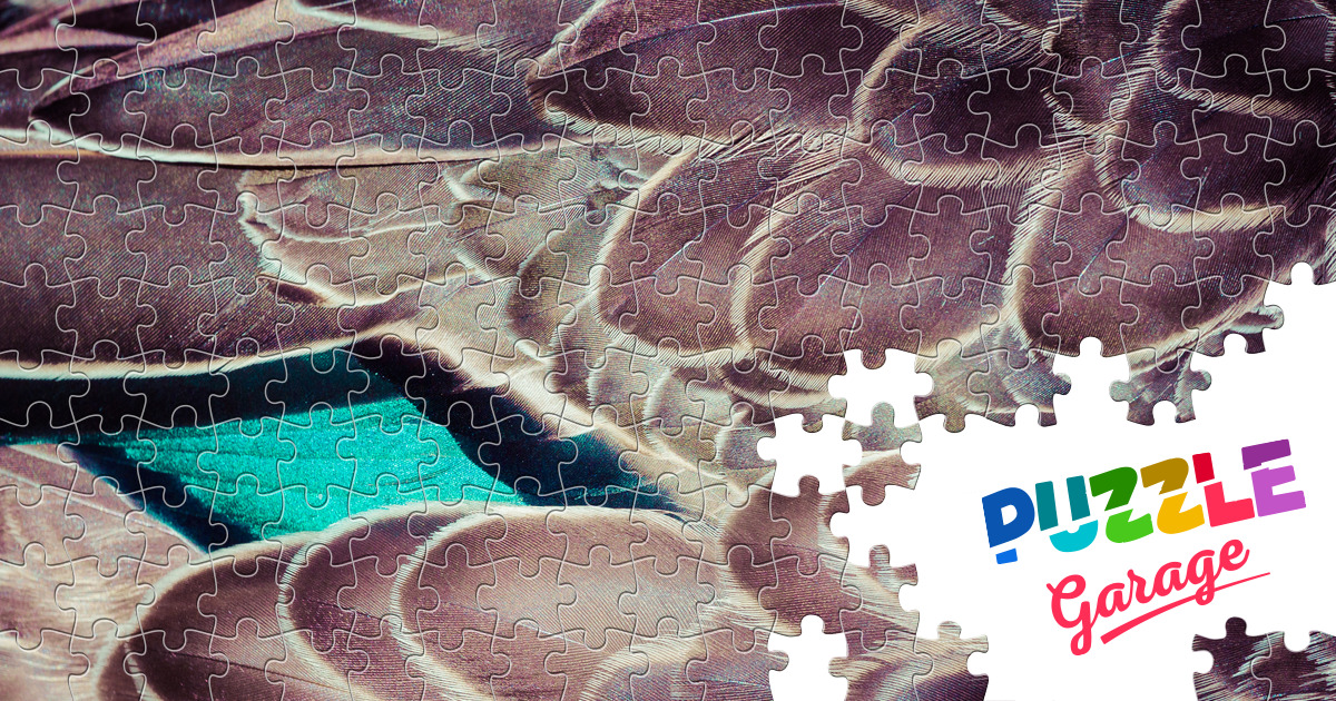 Duck feathers Jigsaw Puzzle (Other, Macro) | Puzzle Garage