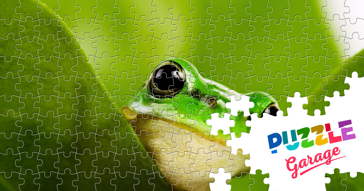 Frog Jigsaw Puzzle (Animals, Amphibians) | Puzzle Garage