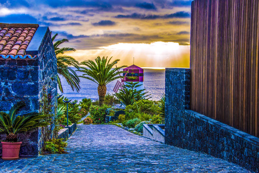 Nature in Malta Jigsaw Puzzle (Countries, Malta) | Puzzle Garage