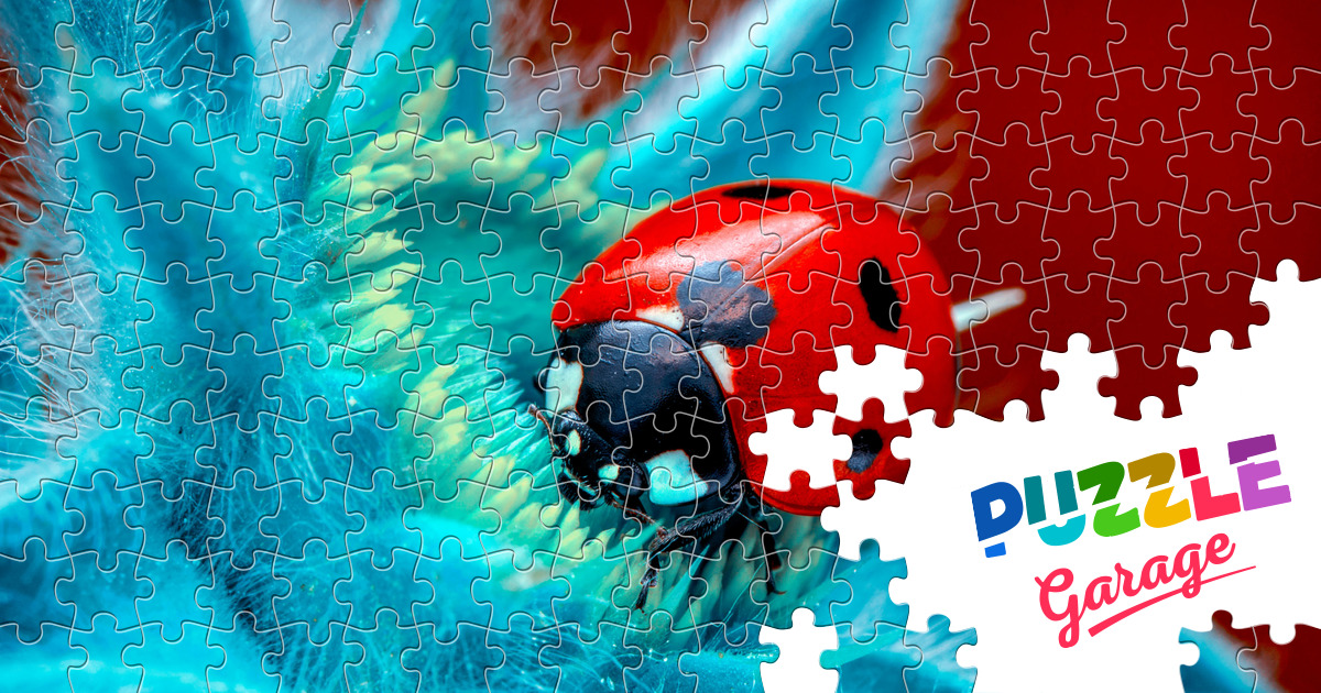 Ladybug on a flower Jigsaw Puzzle (Animals, Insects) | Puzzle Garage