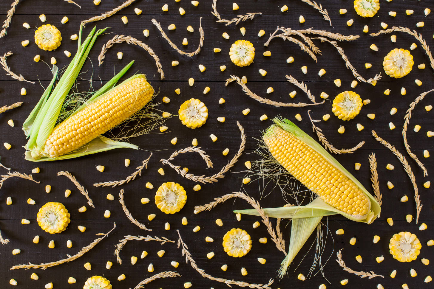 Corn Jigsaw Puzzle (Plants, Vegetables) | Puzzle Garage