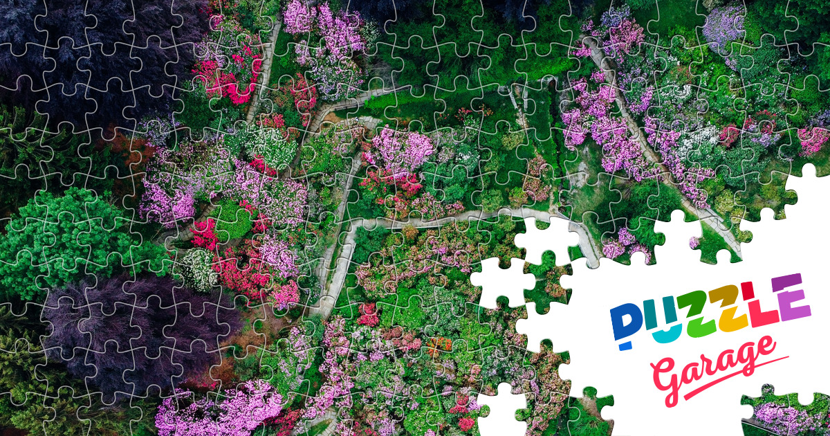 Top view of colorful bushes Jigsaw Puzzle (Other, Aerial view) | Puzzle ...