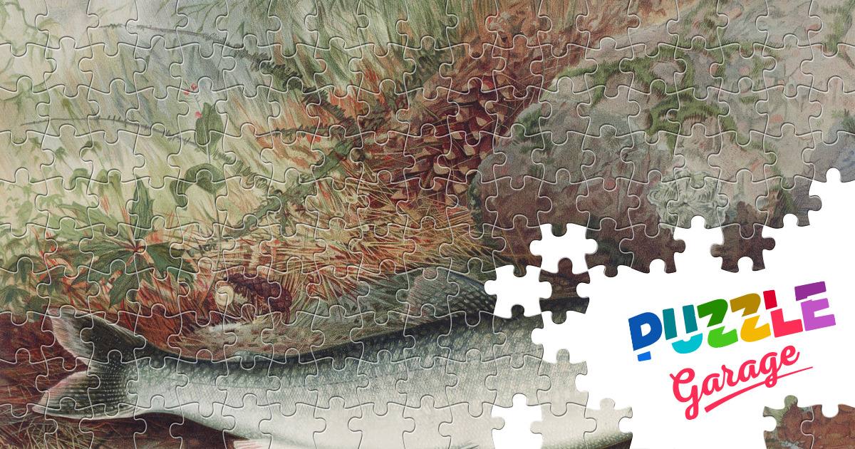 Lake trout Jigsaw Puzzle (Animals, Marine life) | Puzzle Garage