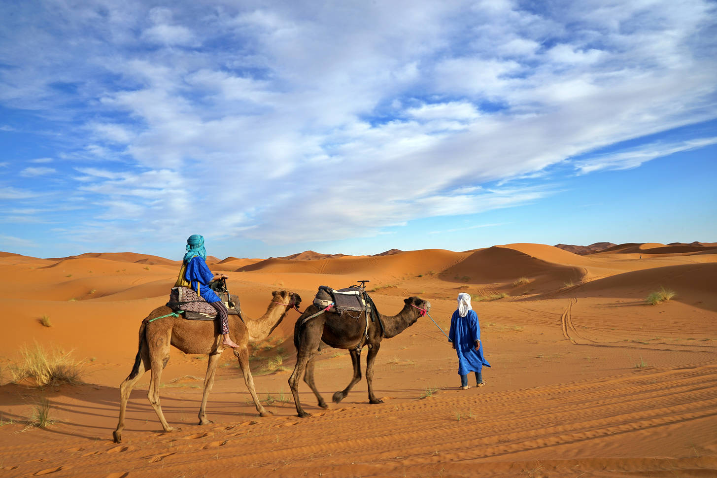 Desert Jigsaw Puzzle (Nature, Desert) | Puzzle Garage