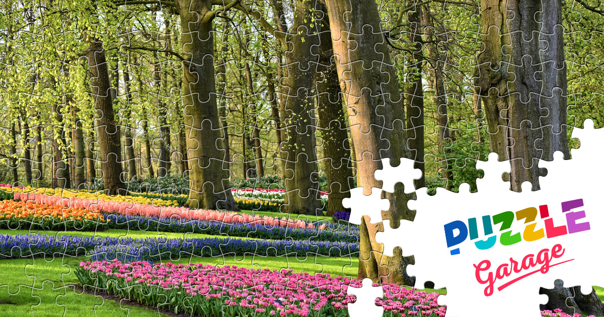 Park with spring flowers Jigsaw Puzzle (Plants, Flowers) | Puzzle Garage