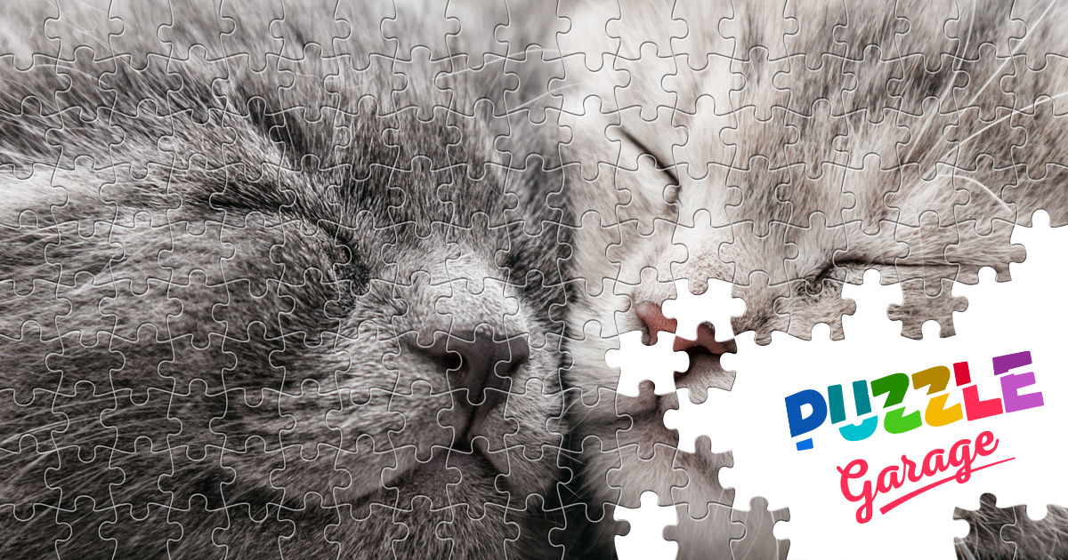 Sleeping kittens Jigsaw Puzzle (Animals, Pets) | Puzzle Garage