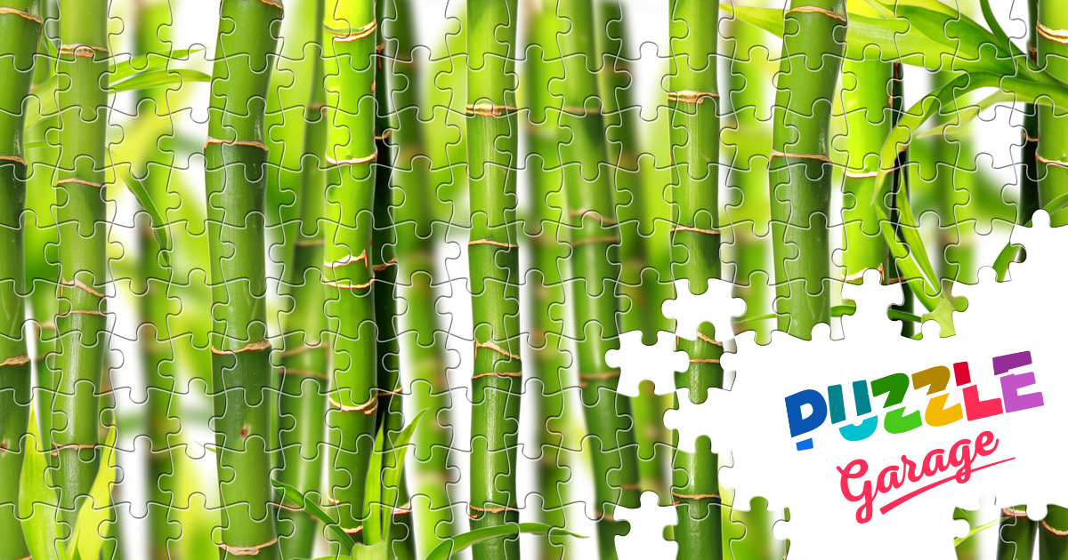 Bamboo Jigsaw Puzzle (Countries, Japan) | Puzzle Garage