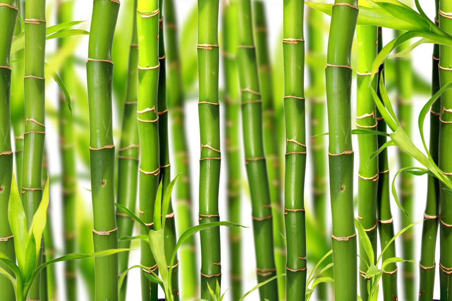 Japanese sword Jigsaw Puzzle (Stuff, Weapons) | Puzzle Garage