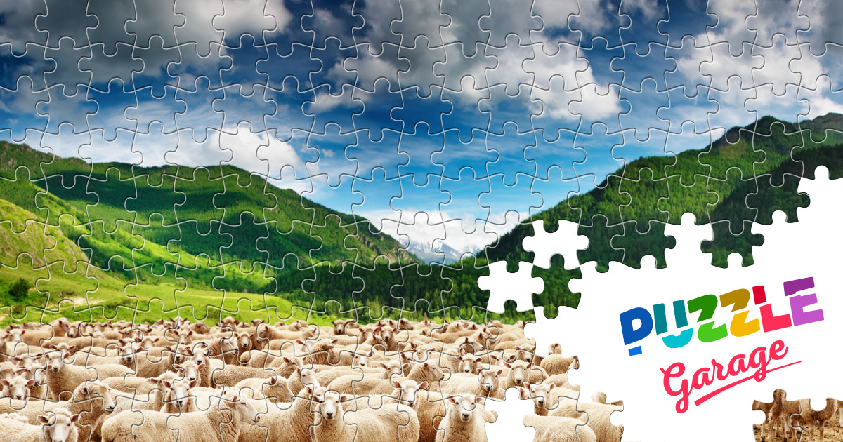 Sheep Mountain Puzzle