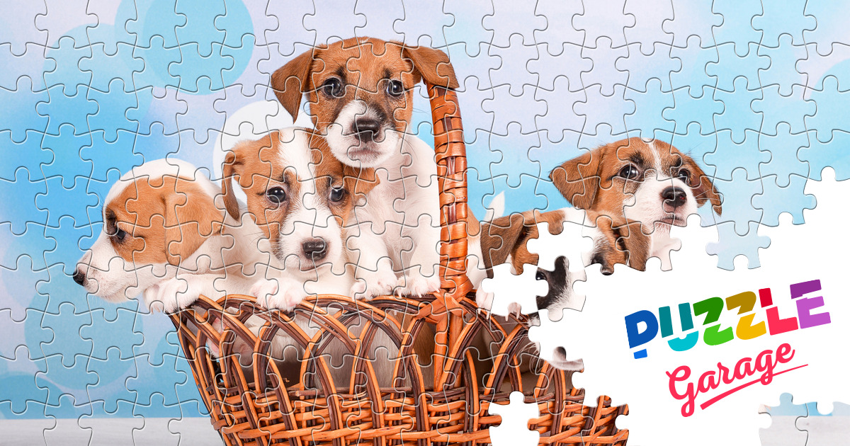 Puppies in a basket Jigsaw Puzzle (Animals, Pets) | Puzzle Garage