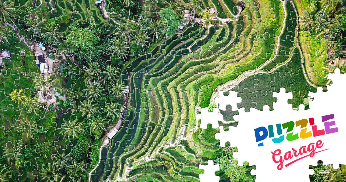 Rice Terrace Patterns Jigsaw Puzzle (Countries, Indonesia) | Puzzle Garage