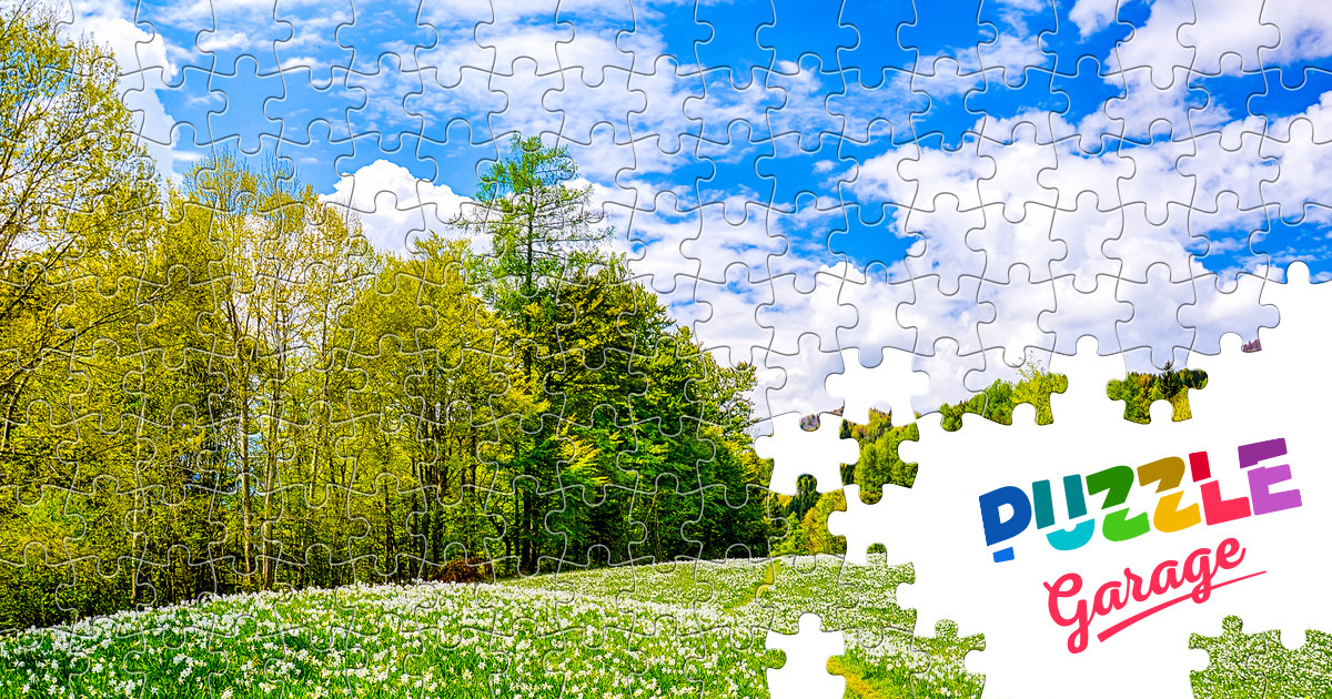 Summer forest meadow Jigsaw Puzzle (Nature, Forest) | Puzzle Garage