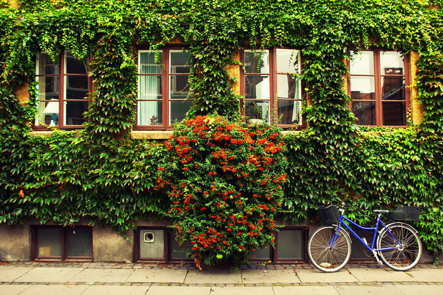 Denmark - collection of online Jigsaw Puzzles | Puzzle Garage