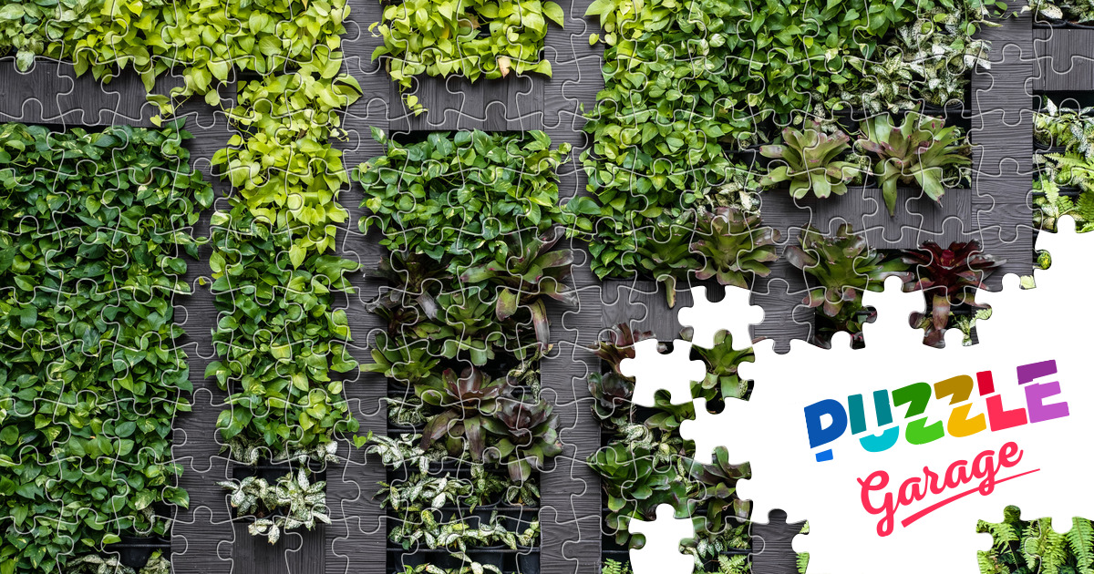 Green wall of plants Jigsaw Puzzle (Home, Facades) | Puzzle Garage