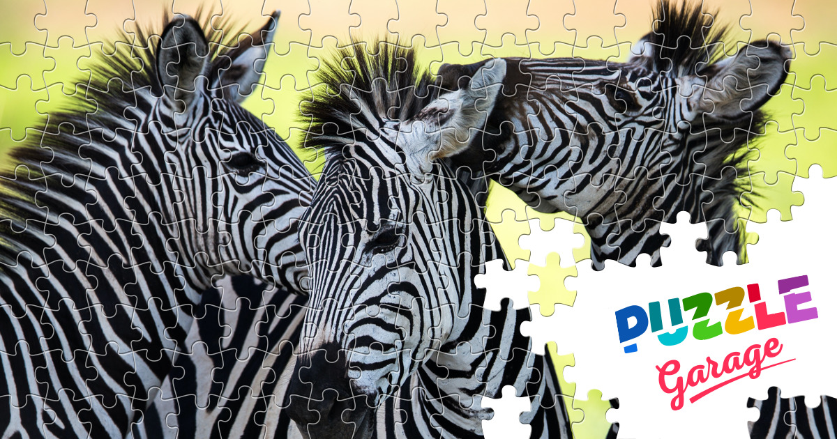 Zebras Jigsaw Puzzle (Animals, Mammals) | Puzzle Garage